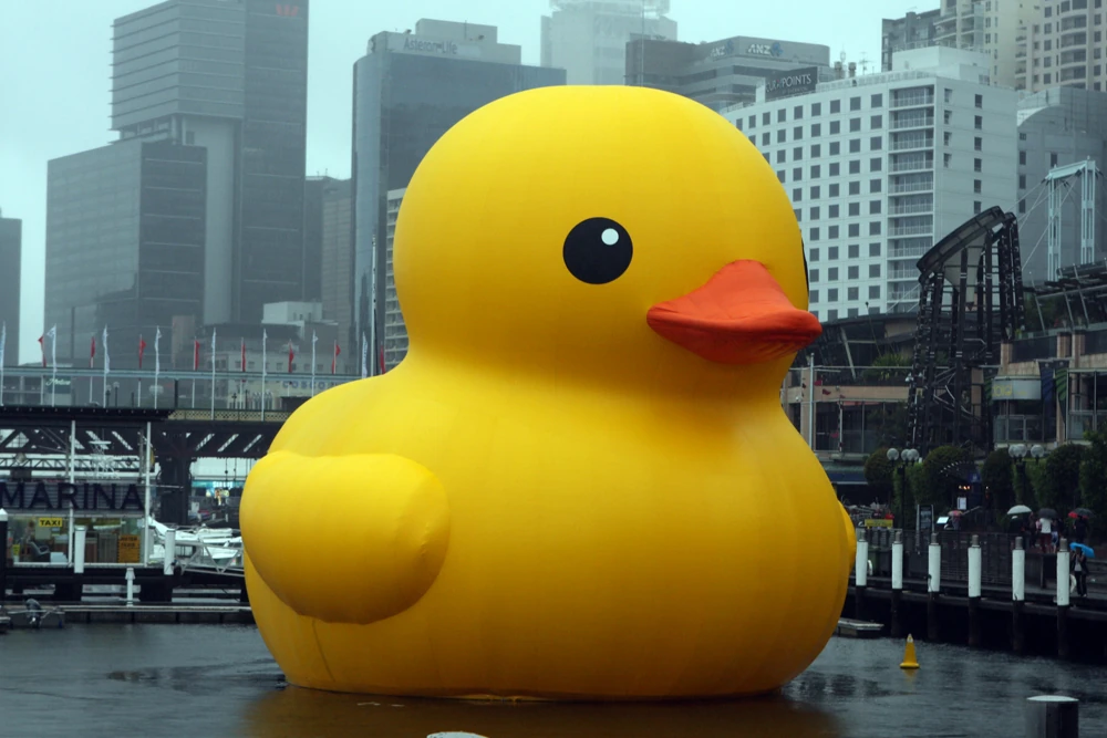 Large Duck! | YellowDucks Wiki | Fandom