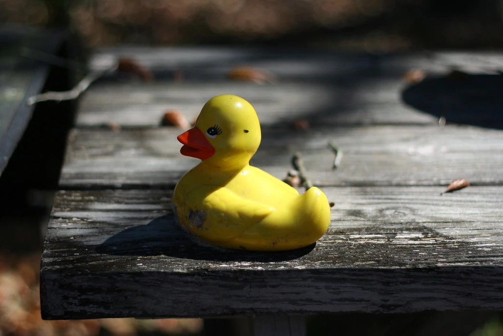History Ducky | YellowDucks Wiki | Fandom
