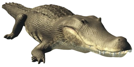 Alligator | Yellowstone Unleashed Roblox Wiki | Fandom