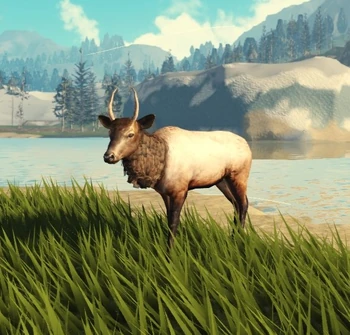 Elk | Yellowstone Unleashed Roblox Wiki | Fandom