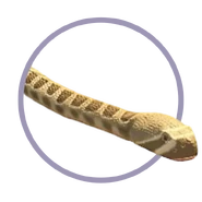 Animals | Yellowstone Unleashed Roblox Wiki | Fandom