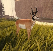Yellowstone Unleashed Roblox Wiki | Fandom