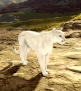 Yellowstone Unleashed Roblox Wiki | Fandom