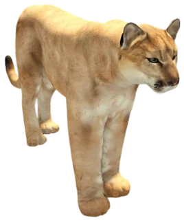 Cougar | Yellowstone Unleashed Roblox Wiki | Fandom