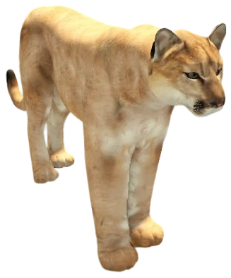 Cougar | Yellowstone Unleashed Roblox Wiki | Fandom
