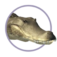 Animals | Yellowstone Unleashed Roblox Wiki | Fandom