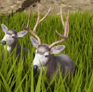 Yellowstone Unleashed Roblox Wiki | Fandom