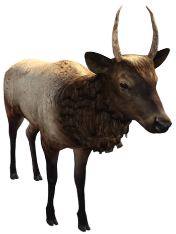 Elk | Yellowstone Unleashed Roblox Wiki | Fandom
