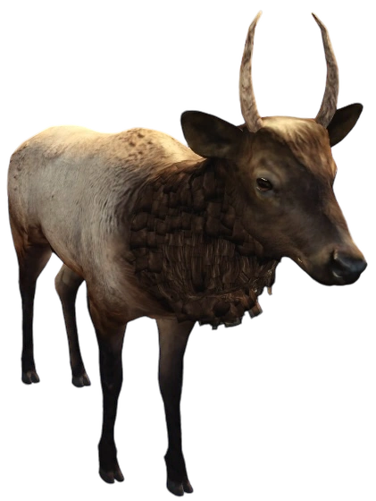Elk | Yellowstone Unleashed Roblox Wiki | Fandom