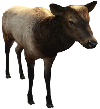 Elk | Yellowstone Unleashed Roblox Wiki | Fandom