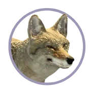 Animals | Yellowstone Unleashed Roblox Wiki | Fandom