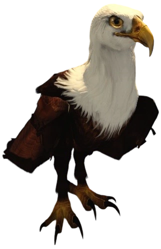 Bald eagle | Yellowstone Unleashed Roblox Wiki | Fandom
