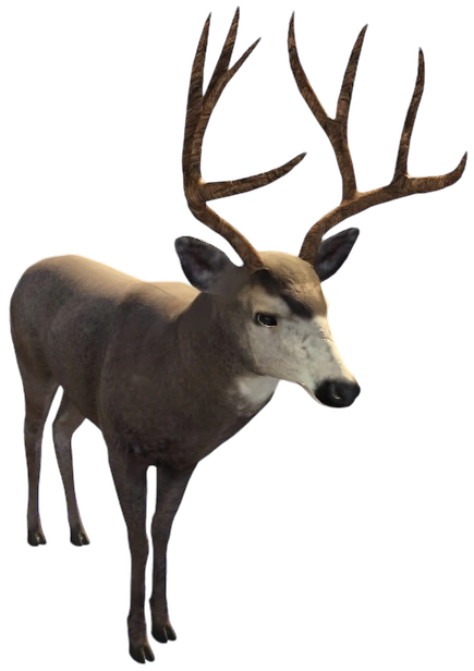 Mule Deer | Yellowstone Unleashed Roblox Wiki | Fandom