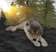 Yellowstone Unleashed Roblox Wiki | Fandom