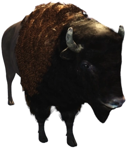 Bison | Yellowstone Unleashed Roblox Wiki | Fandom