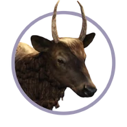 Animals | Yellowstone Unleashed Roblox Wiki | Fandom