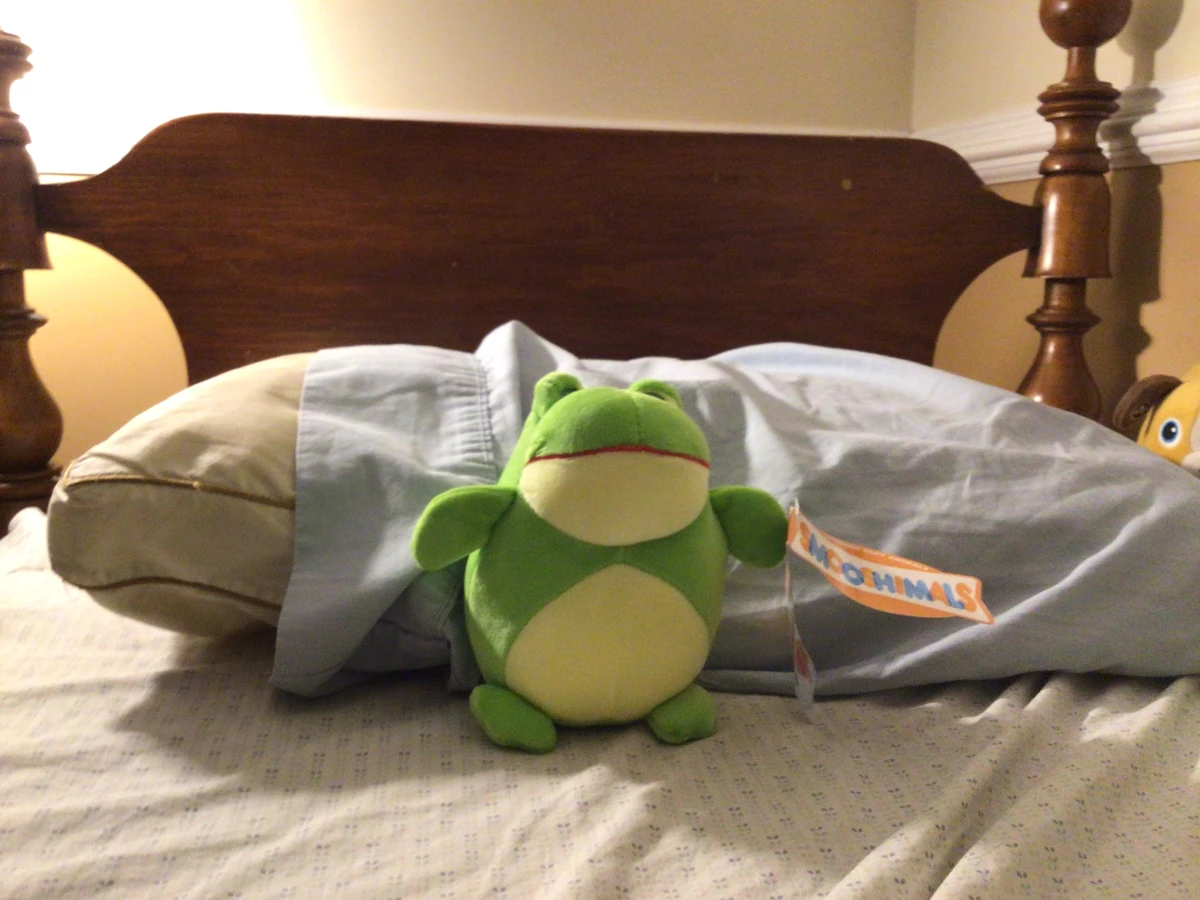 Chonk Frog | Yelloverse Wiki | Fandom