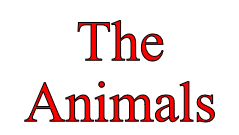 The Animals | Yepi Wiki | Fandom