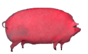 REDPIG | Wiki YeS Series ? | Fandom