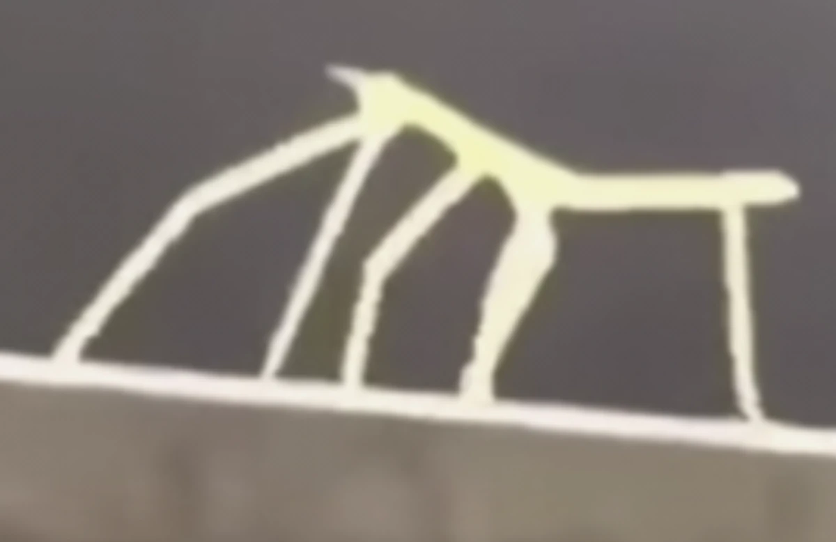 Category:Animals | Yikes Wiki | Fandom