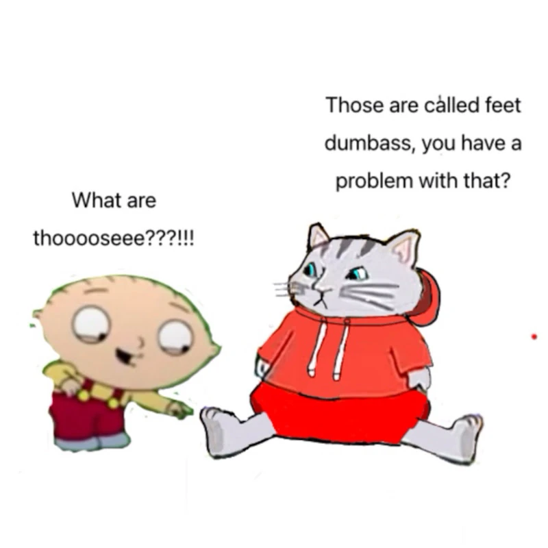 [yiki the asian cat] | Yiki the asian cat Wiki | Fandom