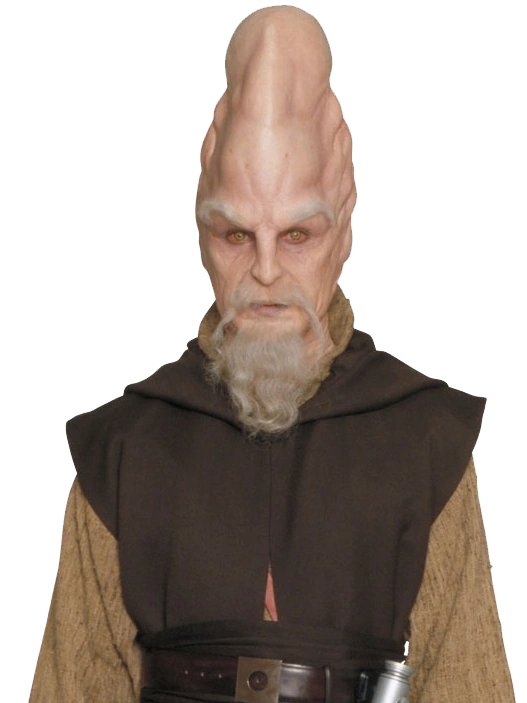 Ki-Adi-Mundi | Yodapedi | Fandom