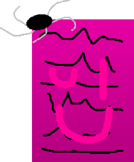 Galaxy Tests (ITB) | YinYangFan's Wiki | Fandom