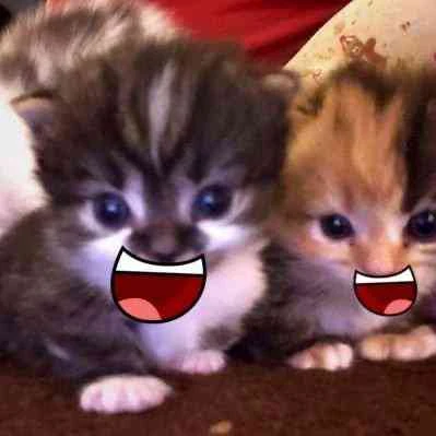 Paintbrush | YiScarf Wiki | Fandom