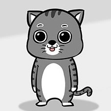 Kookie | Super String Universe Wiki | Fandom