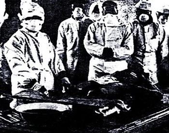 Unit 731 | Super String Universe Wiki | Fandom