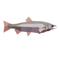 Tundra Salmon