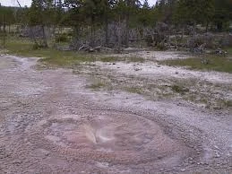 Pink Geyser | Yellowstone Geysers Wiki | Fandom