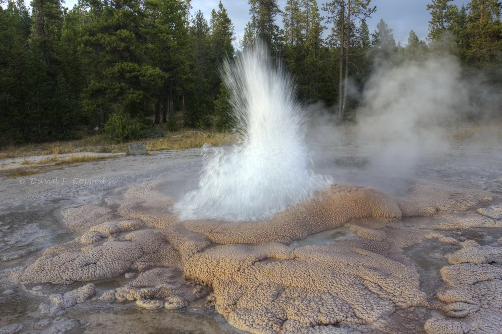 Narcissus Geyser | Yellowstone Geysers Wiki | Fandom