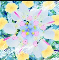 sukida / 好きだ | Yoasobi Wiki | Fandom