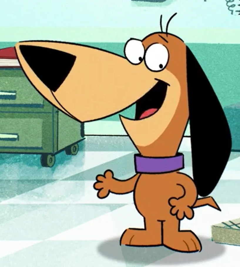Yogi Bear Dog