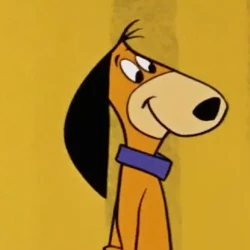Yogi Bear Dog