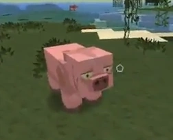 Derpy Pig Minecraft Skinn
