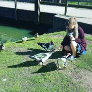 Leozaur | Yogscast Wiki | Fandom