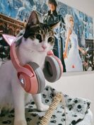 Georgia Dana | Yogscast Wiki | Fandom