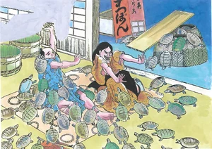 Suppon | Yokai Wiki | Fandom