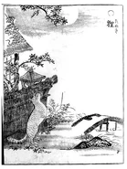 Tanuki | Yokai Wiki | Fandom