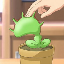 Pakkun | Yo-kai Watch Wiki | Fandom