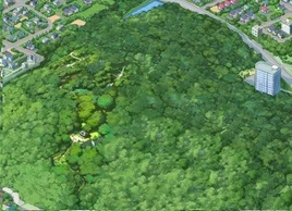 Mount Wildwood | Yo-kai Watch Wiki | Fandom