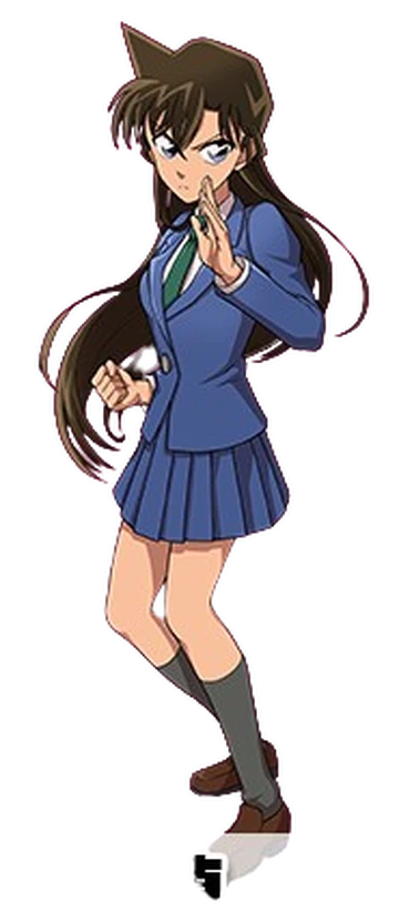 Detective Conan Ran Karate