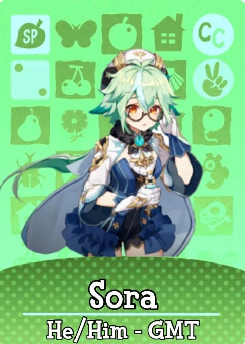 Sora | YORGsh Wiki | Fandom