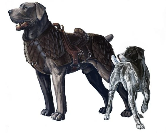 Pies wierzchowy | DnD Info Wikia | Fandom