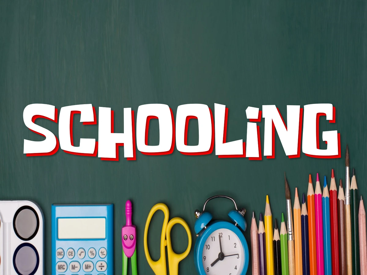 Schooling | Yoshi & Paper Wiki | Fandom