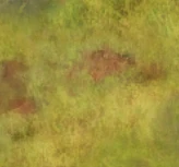 Swamp Biome | You Are Hope Wiki | Fandom