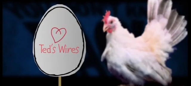 Ted's Wires | You Don't Know Jack 2011 - 2015 Wiki | Fandom