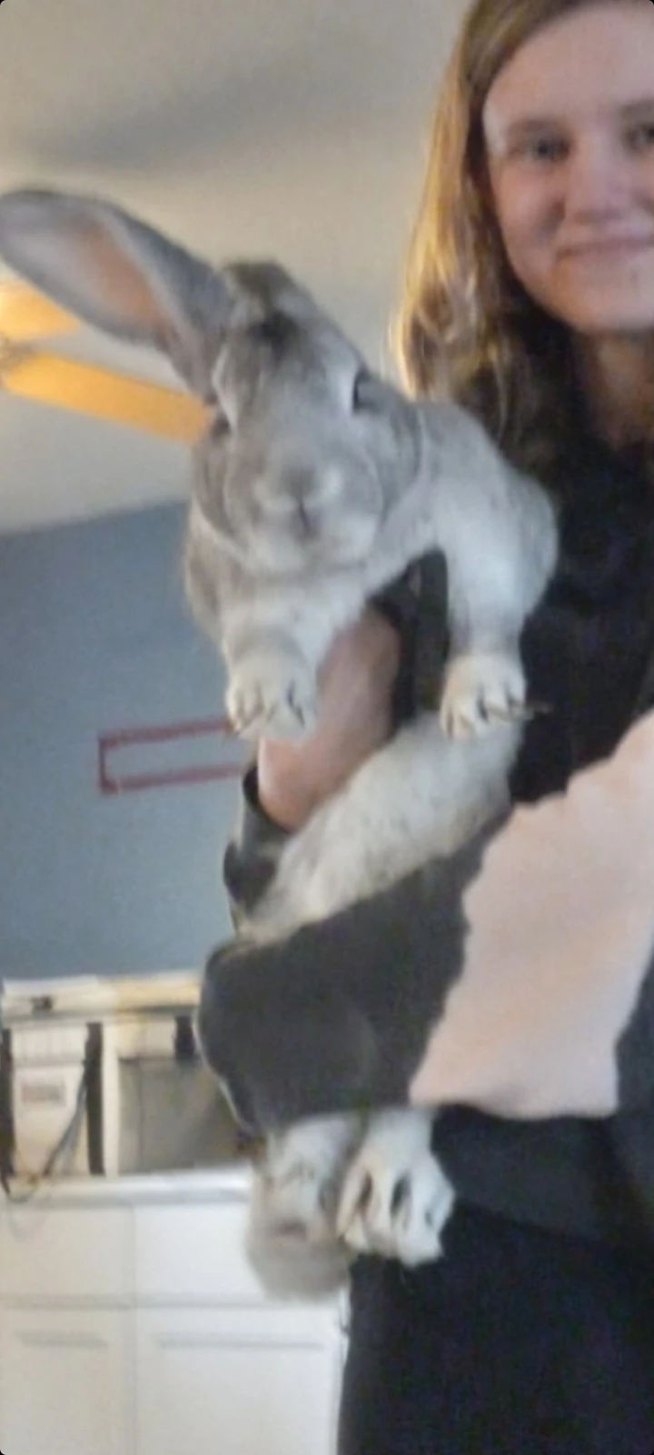 Tucker | Young Grown Nation Wiki | Fandom